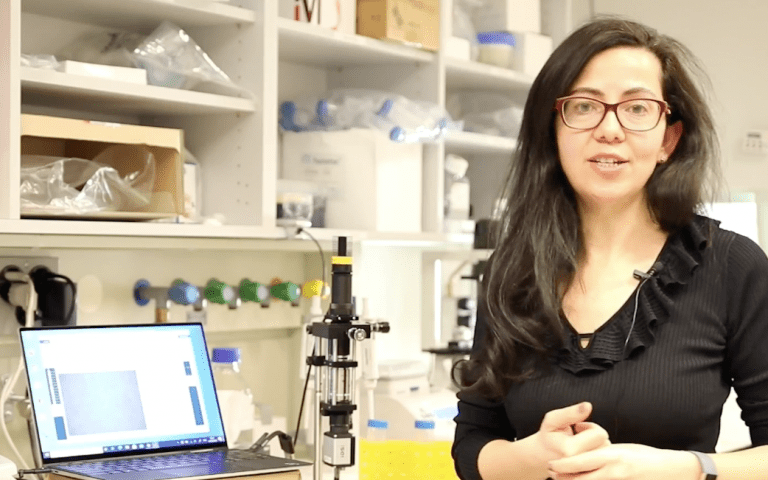 Dünyada yıldızı yükselen iki genç bilim kadını daha - Yetkin Report